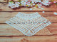 Niris Lingerie Embroidery Lace Fabric White Chemical Guipure Embroidered Lace